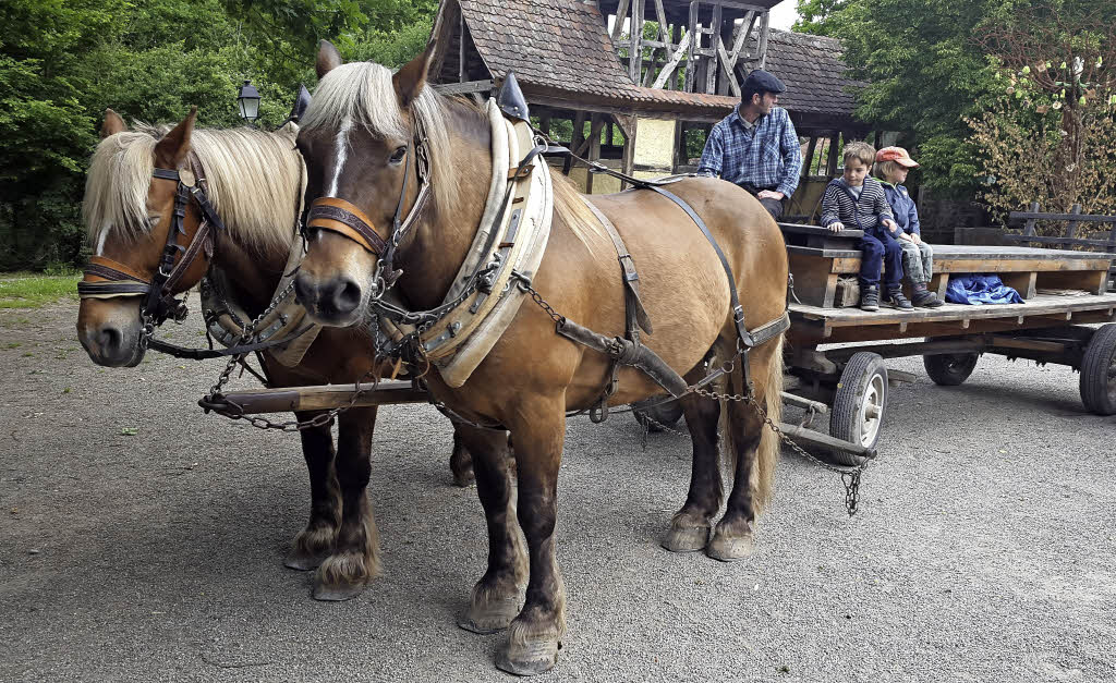 Saisonstart im Elsass: Freizeitparks sind bereit - Badische Zeitung TICKET