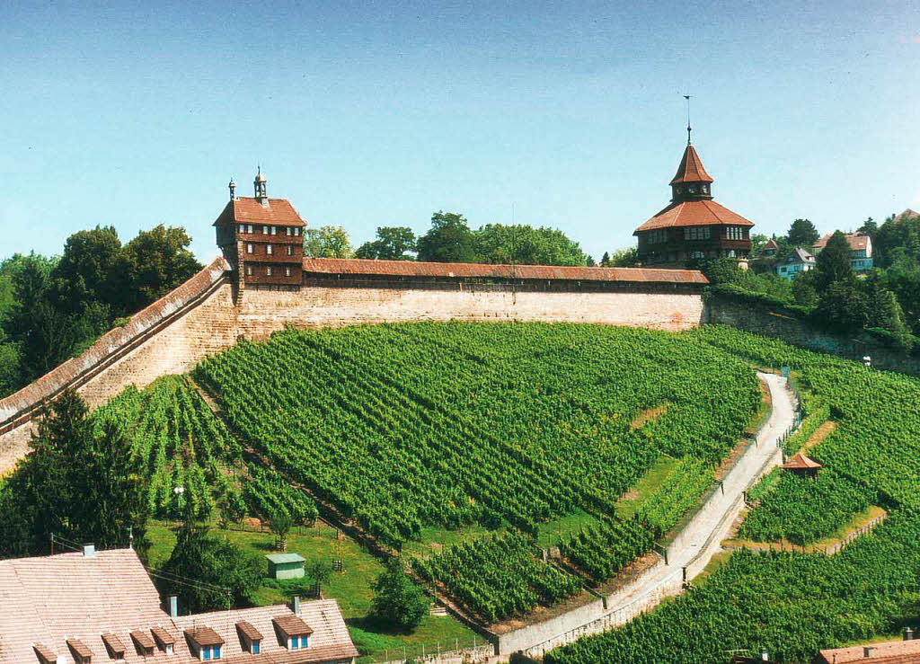Esslinger Burg - Esslingen am Neckar - Badische Zeitung TICKET