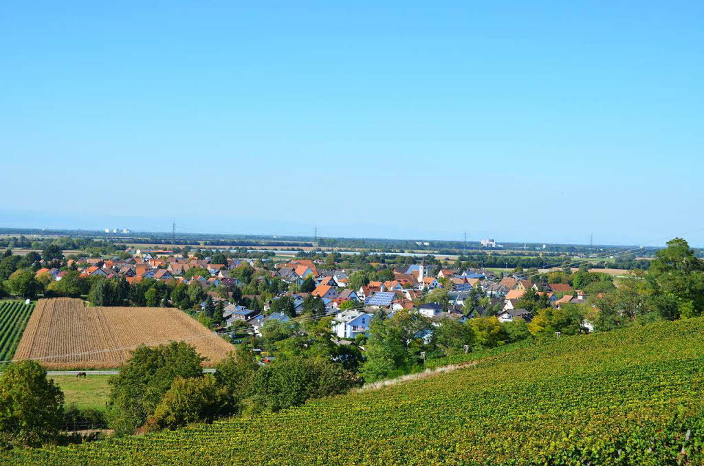 Ortsteil Seefelden - Buggingen - Badische Zeitung TICKET