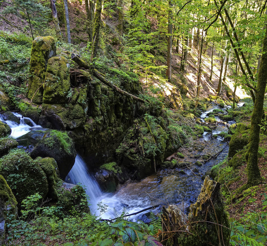 Wandertipp: Auf dem Albsteig durch den Hotzenwald - Badische Zeitung TICKET